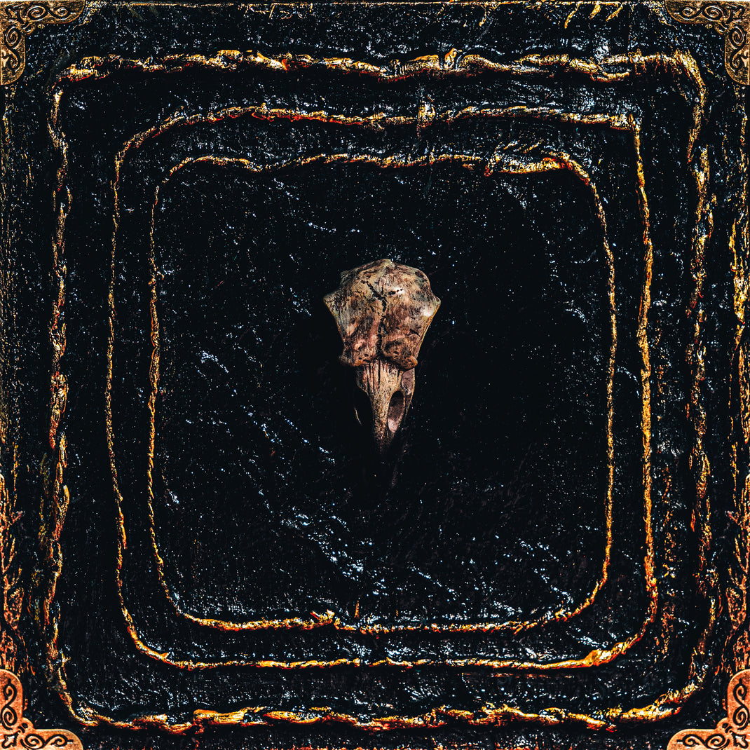 NEW ALBUM